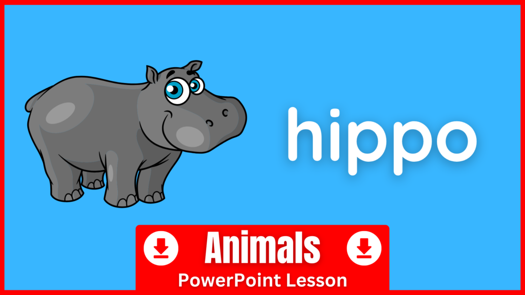 Animals PowerPoint Lesson For Kindergarten And Young ESL Learners ...