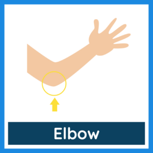 Body Parts In English | Vocabulary List With Pictures And Example ...