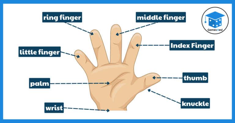 Parts Of The Hand In English – Vocabulary List, Worksheet, And ...