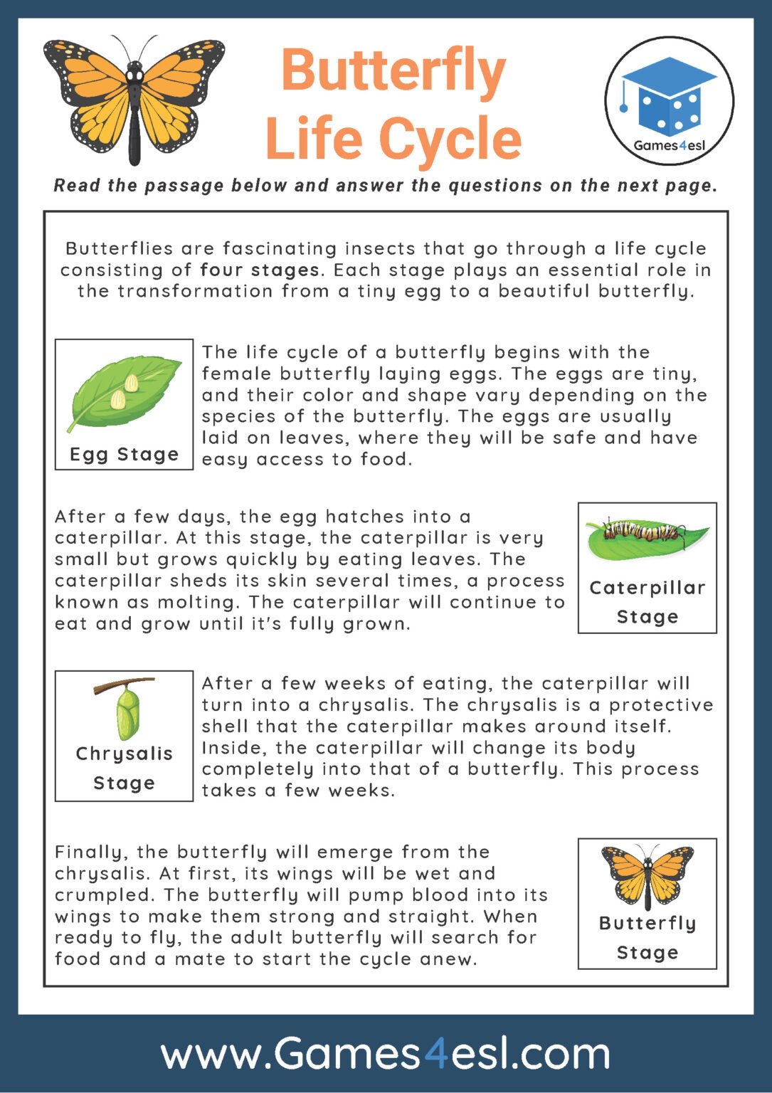 Butterfly Life Cycle Reading Comprehension Worksheet | Games4esl